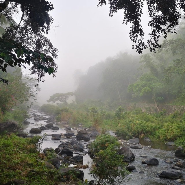 Paninap Farms in Tanay, Rizal