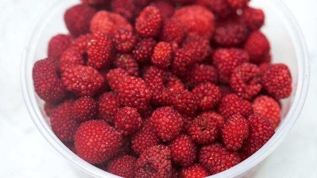 There's More to Laguna Than Just Buko Pie