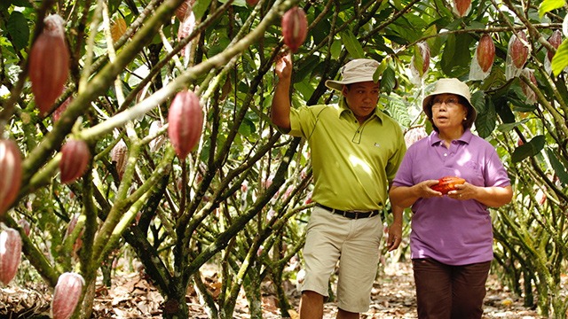 Davao's Malagos Chocolate Wins Another International Award