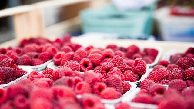 Sampinit Is a Philippine Wild Berry You Need to Try