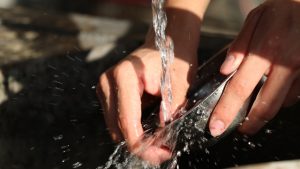 What Is The Order Of Washing Kitchen Tools?