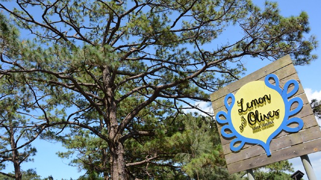 All The Places You Shouldn’t Miss On Your Next Baguio Trip