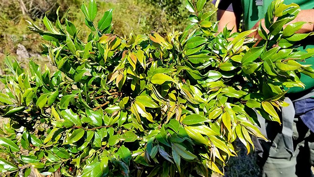 Your Guide To Sagada's Pasalubong-Worthy Food