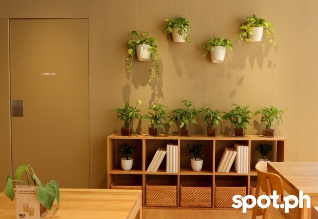 MUJI Coffee Menu And Prices