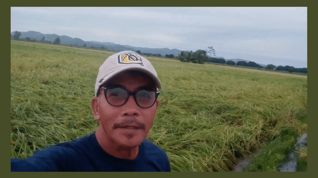 Farmer Posts About Rice Field After Typhoon Karding