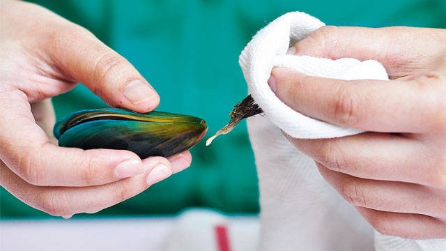 How To Easily Cook Tahong | Yummy.ph