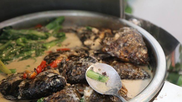 What To See + Eat in Quezon Province in 36 Hours