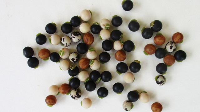 KBL (Kadyos, Baboy, at Langka) Recipe