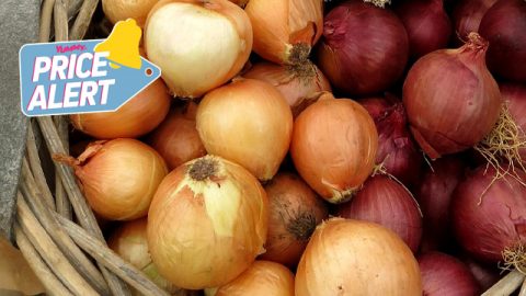 PRICE ALERT: DA Predicts Onions Will Sell For P200-P250 Per Kilo