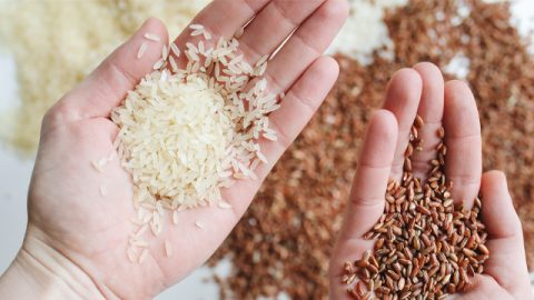 PhilRice Rice Specialist Training Course 2023